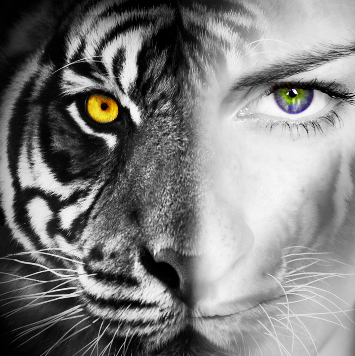 Erika Fitzpatrick | World Builder, Creative Thinker, Book Writer